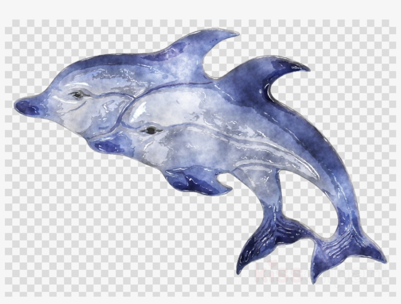 Download Watercolor Dolphin Png Clipart Common Bottlenose - Dolphin PNG ...