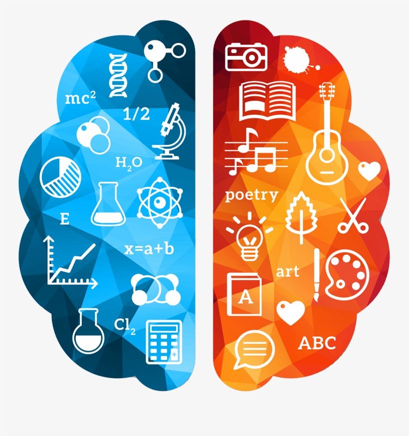 Download Left And Right Brain Vector | Transparent PNG Download | SeekPNG