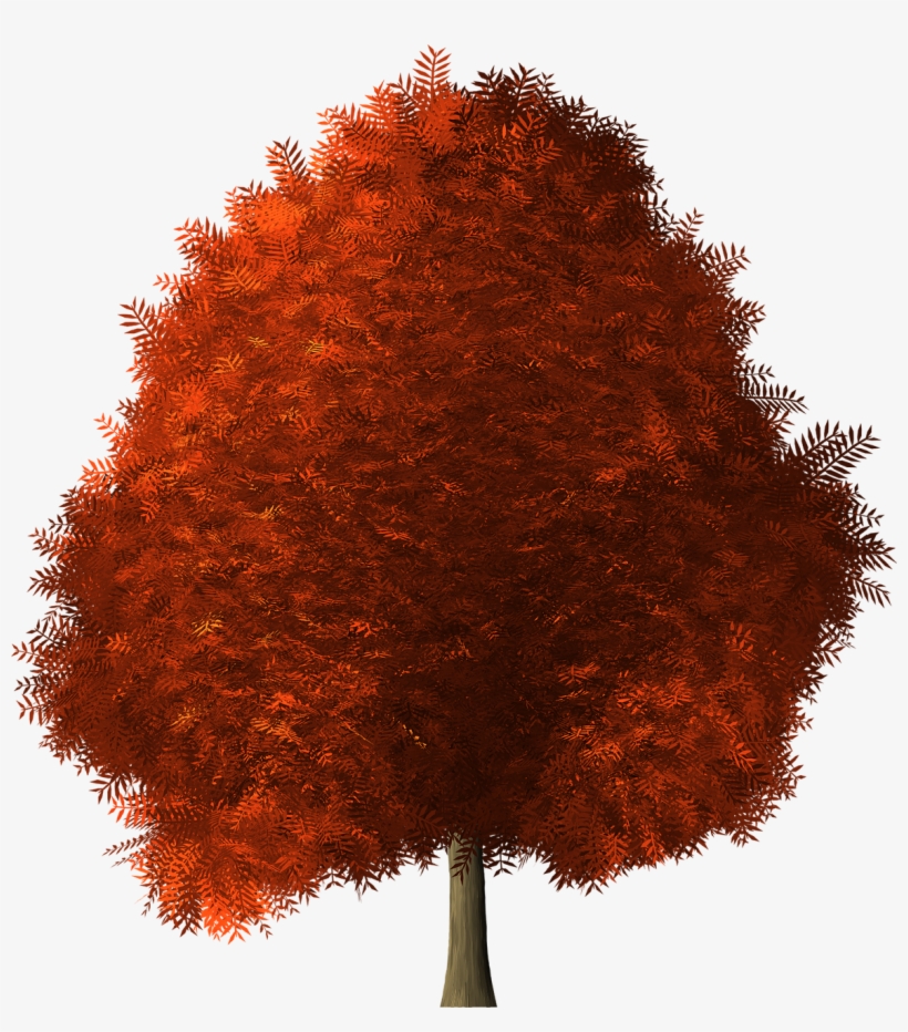 Download Maple Tree Maple Tree Red Png Image - Maple | Transparent PNG ...