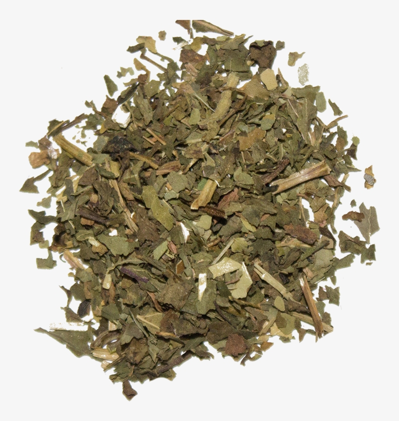 Rainforest - Peppermint Tea PNG Image | Transparent PNG Free Download ...