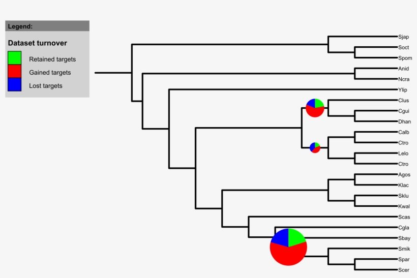 Summary Figure Of The Functional Modules Across The - Diagram PNG Image ...