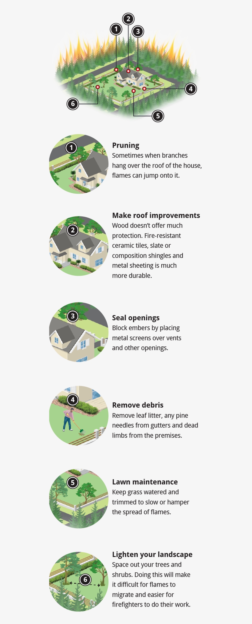 National Geographic, Firewise - Cd PNG Image | Transparent PNG Free ...