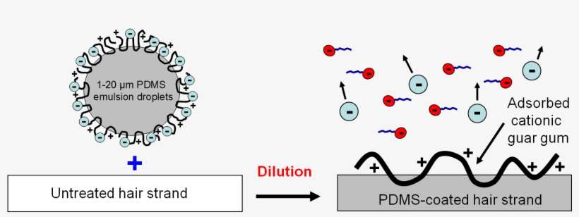 Pdms Deposition Process - Diagram PNG Image | Transparent PNG Free ...