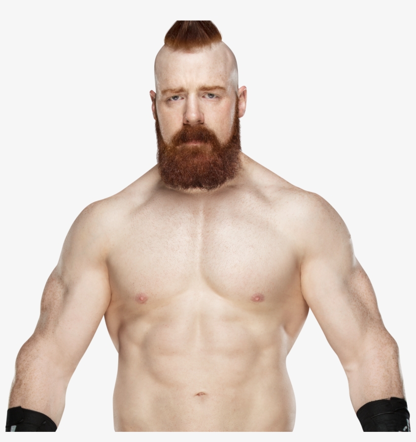Sheamus - Sheamus Png PNG Image | Transparent PNG Free Download on SeekPNG