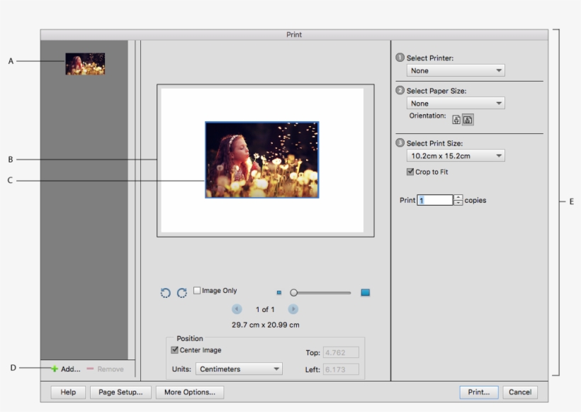 Download Print Dialog Box - Adobe Photoshop Elements | Transparent PNG ...