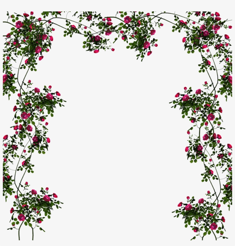 Download Photo 1aroseoverlay - Png Flower Arch | Transparent PNG ...