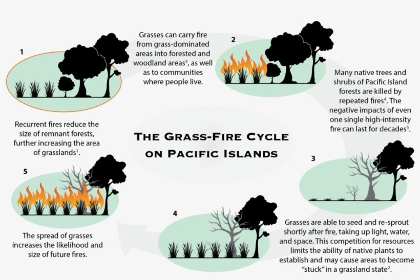 Pfx Factsheet Gfcycle Forweb - Pkcs #12 PNG Image | Transparent PNG ...