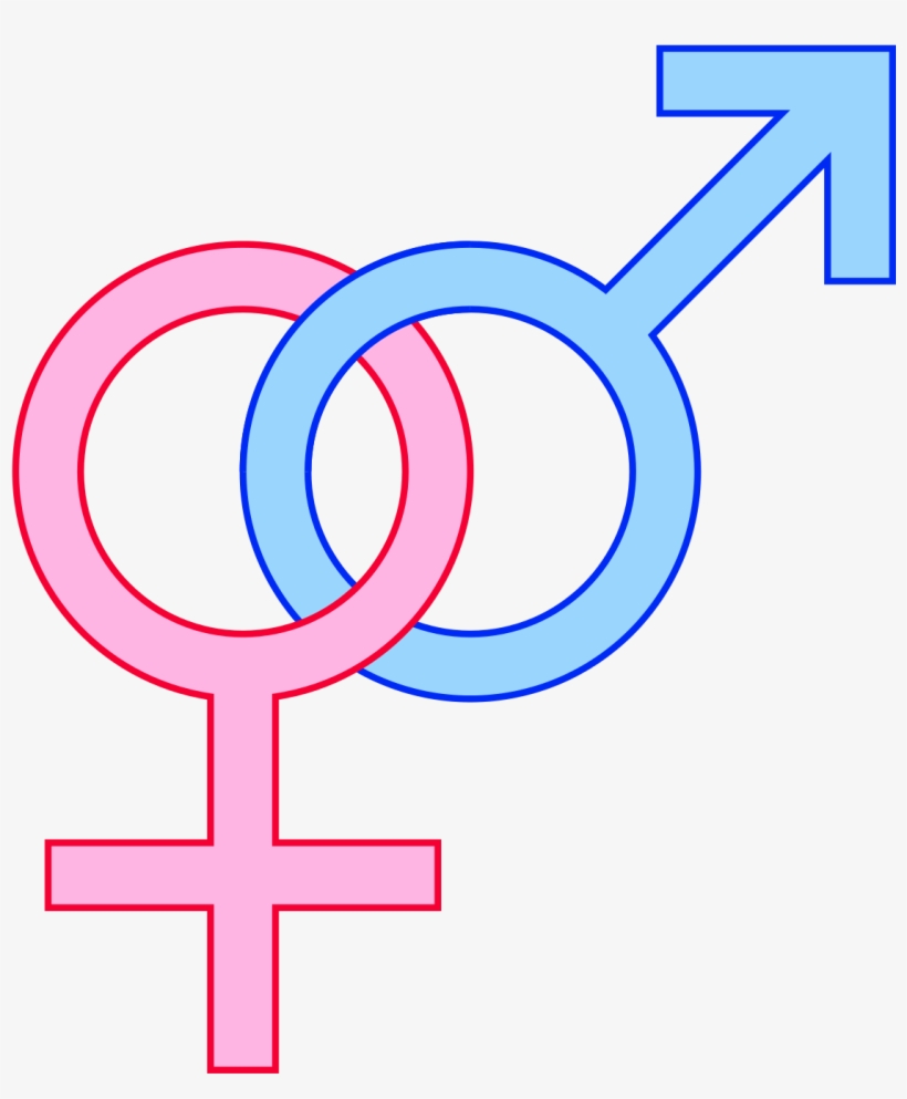 Girl And Guy Symbols PNG Image | Transparent PNG Free Download on SeekPNG