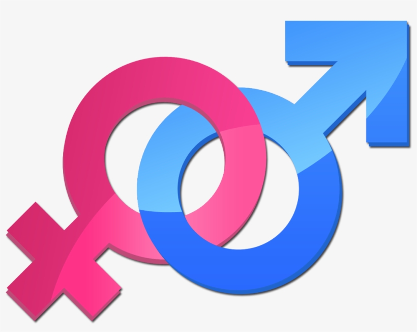 Download Gender Symbol Parity Transprent Png - Man And Women Sign ...