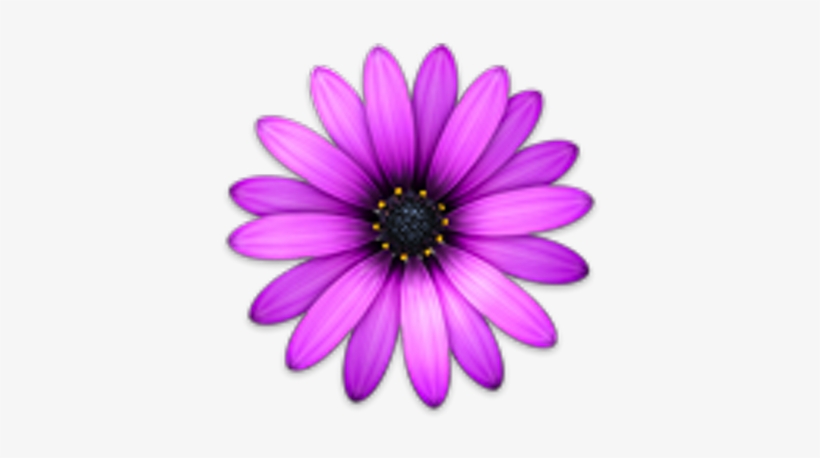 Macromates - Textmate 2 Alpha PNG Image | Transparent PNG Free Download ...