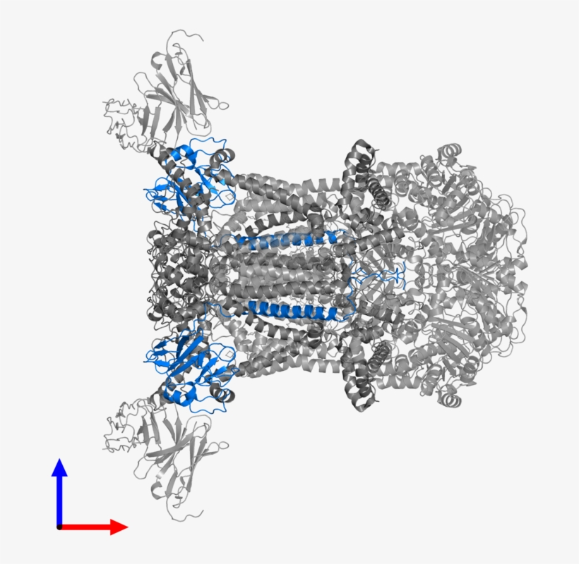pdb Entry 4pd4 Contains 2 - Illustration PNG Image | Transparent PNG ...