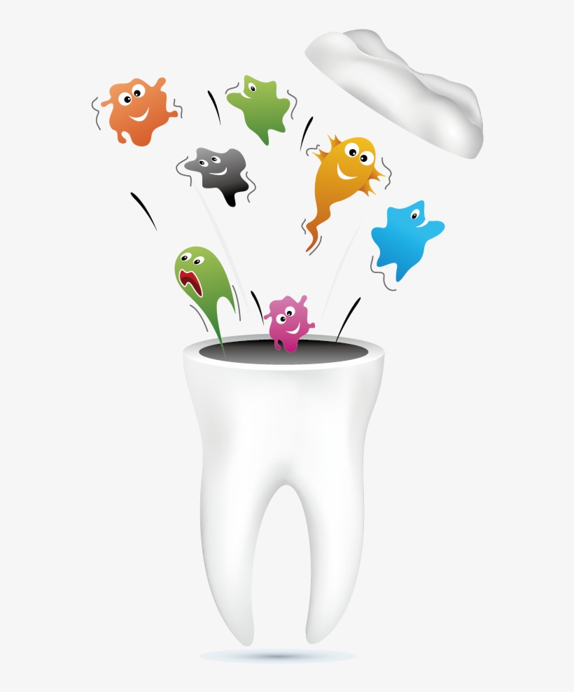 Single Teeth Png Photo - Tulip PNG Image | Transparent PNG Free ...