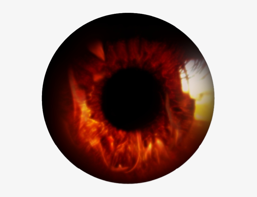 Eye PNG Image | Transparent PNG Free Download on SeekPNG