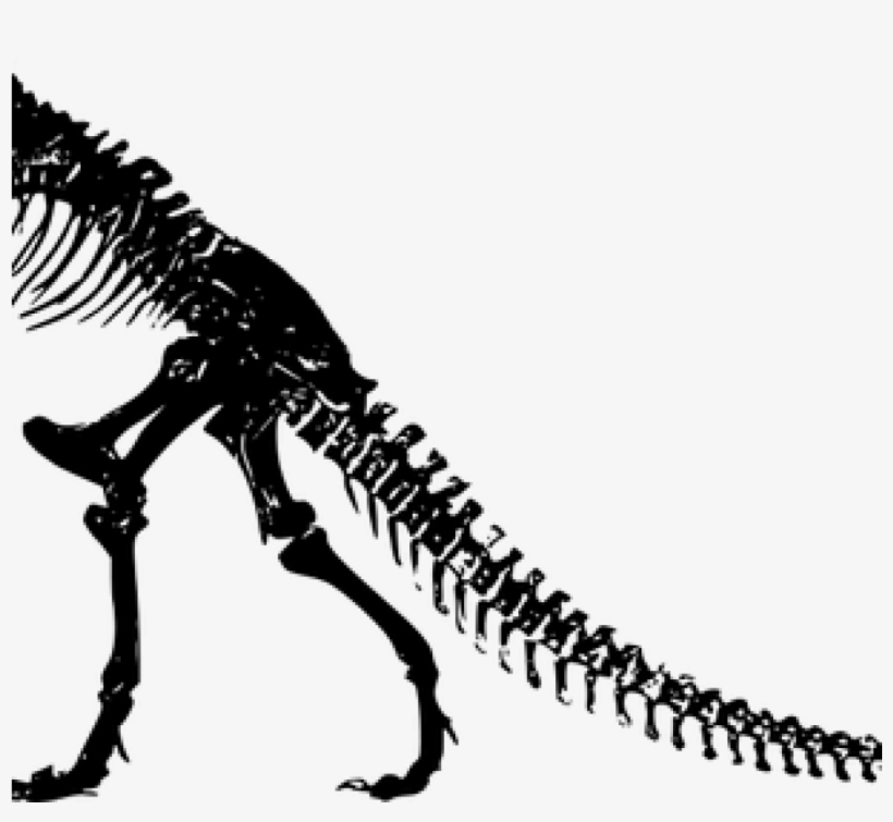Dinosaur Skeleton Clip Art 386 Dinosaur Skeleton Clip - Silhouette T ...