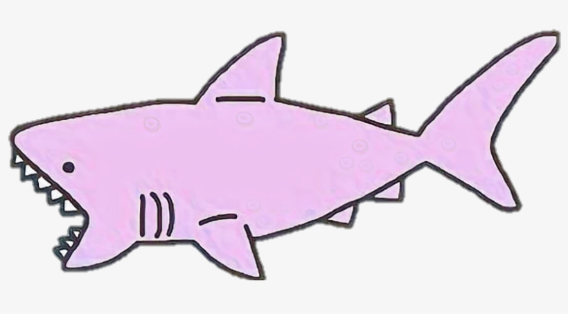 Download Pink Shark | Transparent PNG Download | SeekPNG