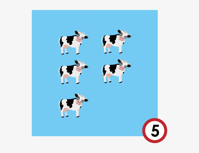 Cinco-vacas - Teddy Roosevelt Terrier PNG Image | Transparent PNG Free ...