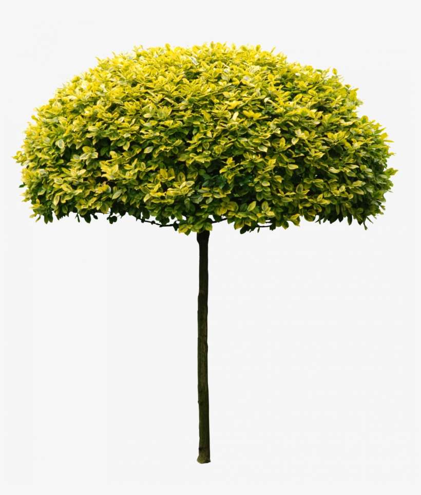 Resolution - - Globo Solar Solar Light Led Silver, 1-bulb PNG Image ...