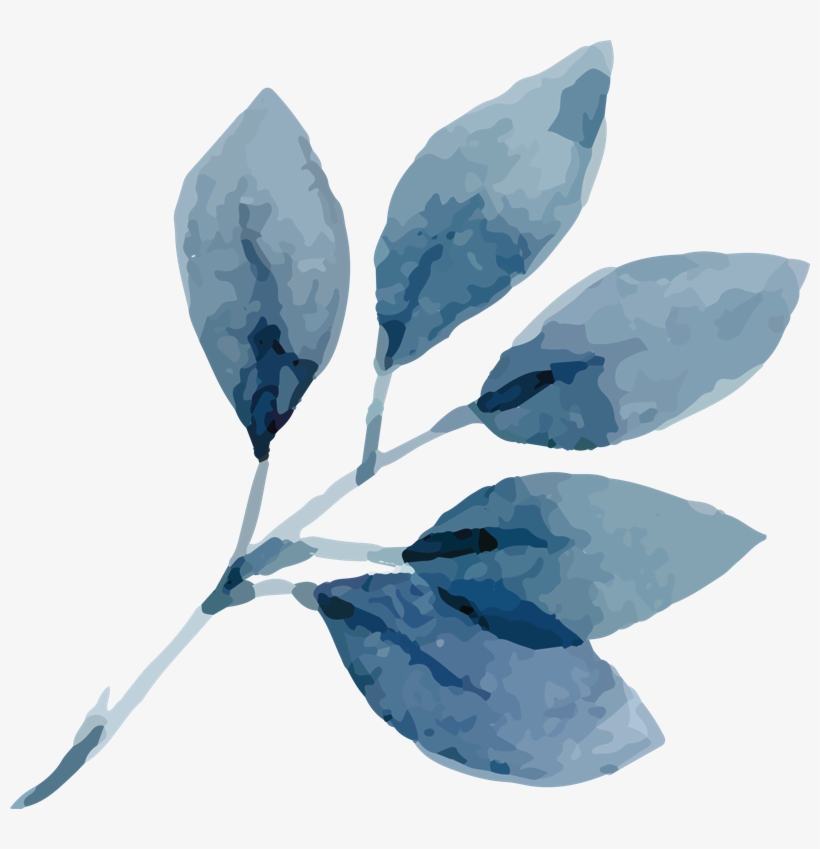 Portable Network Graphics PNG Image | Transparent PNG Free Download on ...