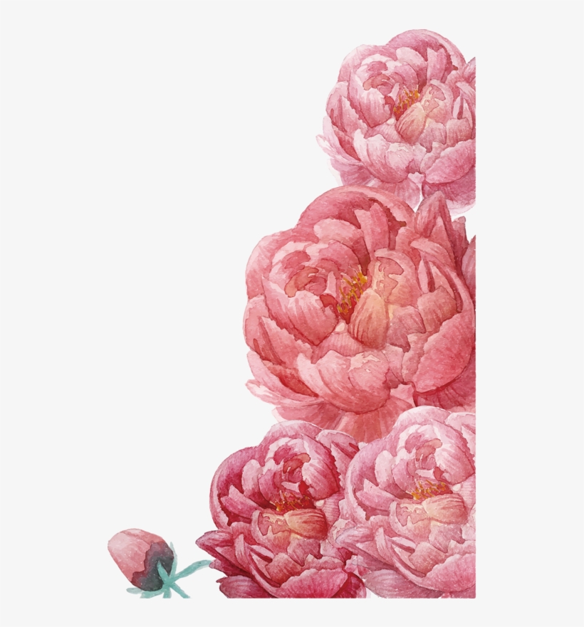 Pink Ink Flowers, Flowers Material, Watercolor Flowers, - Floral Clip ...