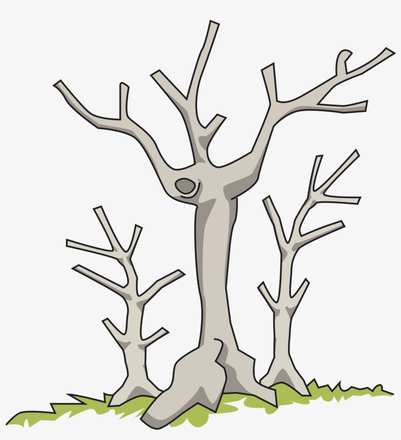 Download Dead Trees Icons Png - Dead Trees Clip Art | Transparent PNG ...