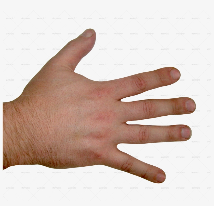 Human Hand Textures - Puberty Hands PNG Image | Transparent PNG Free ...