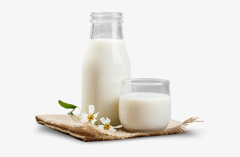Milk Png PNG Image | Transparent PNG Free Download on SeekPNG