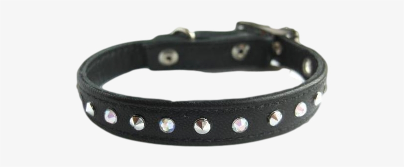 Dog Collar Png - Collar Transparent Background PNG Image | Transparent ...