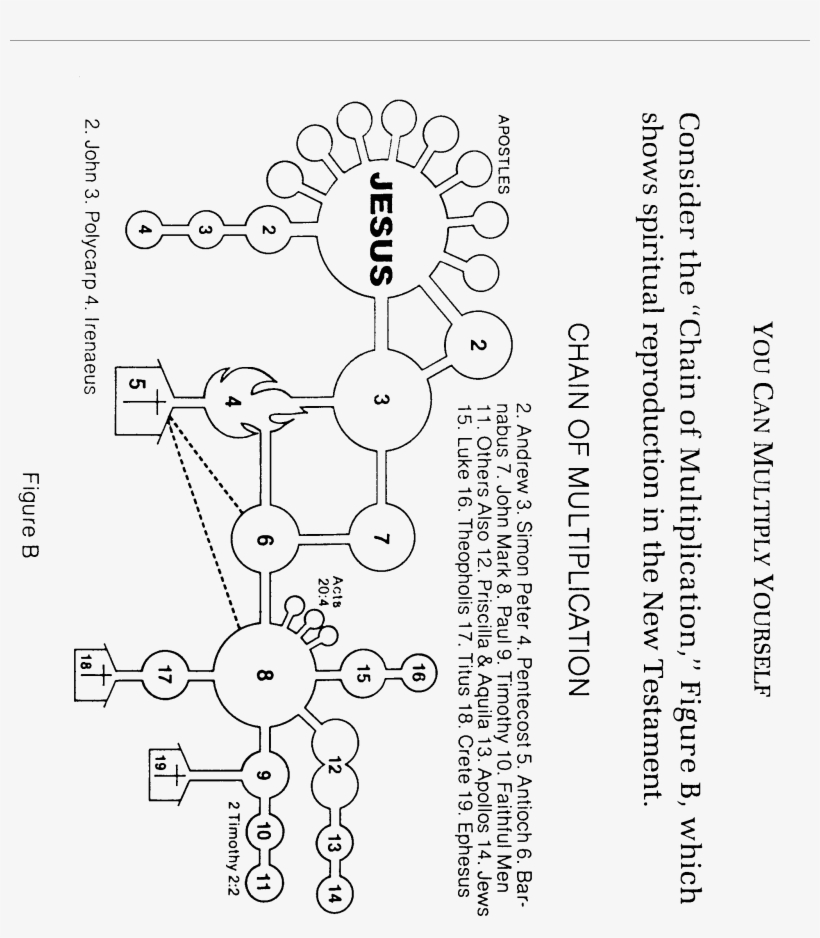 Chain Of Multiplication - Diagram PNG Image | Transparent PNG Free ...