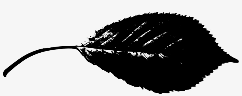 Spiky Edged Leaf Vector Image - Leaf Silhouette Png PNG Image ...