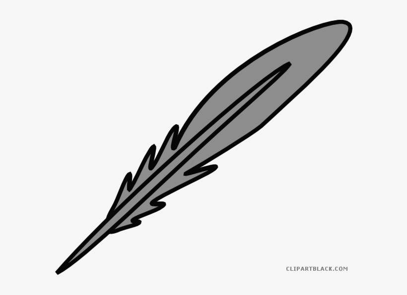 Turkey Feather Clipart - Turkey Feathers Transparent Clipart PNG Image ...