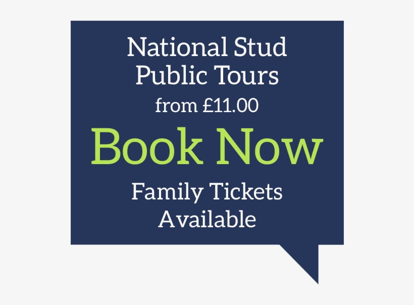 Contact - What's New PNG Image | Transparent PNG Free Download on SeekPNG