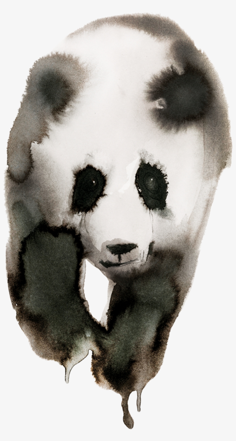 Panda PNG Image | Transparent PNG Free Download on SeekPNG