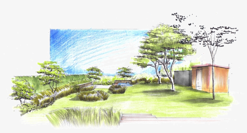 Pin By Viveros Olimpia On Concepto Dibujos - Drawing PNG Image ...