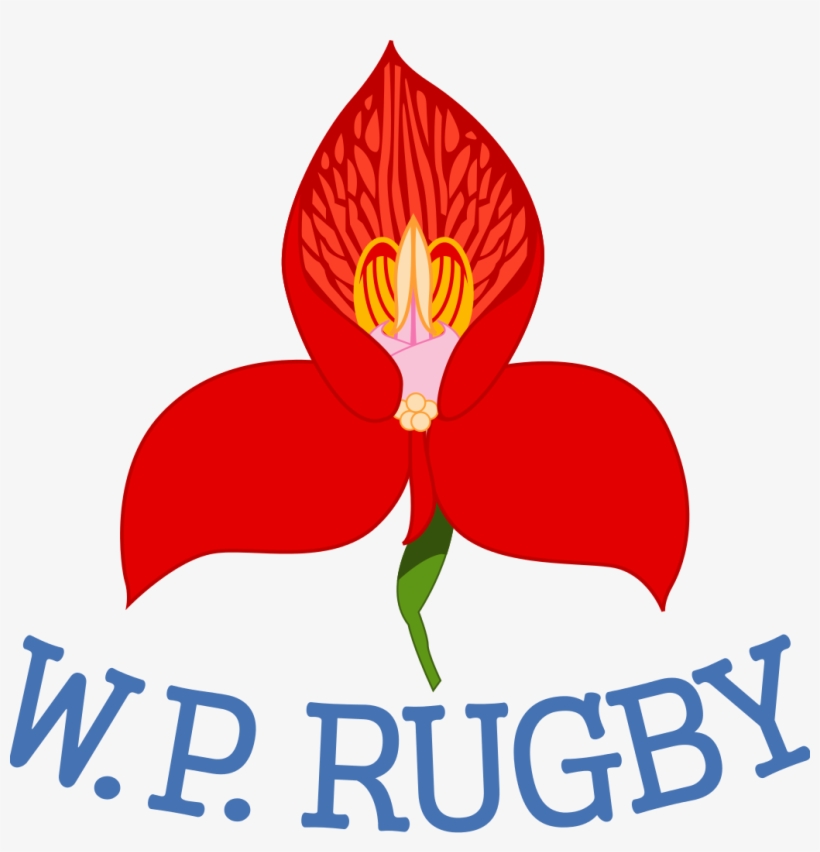 Dhl Western Province Logo - Western Province Rugby Logo PNG Image ...