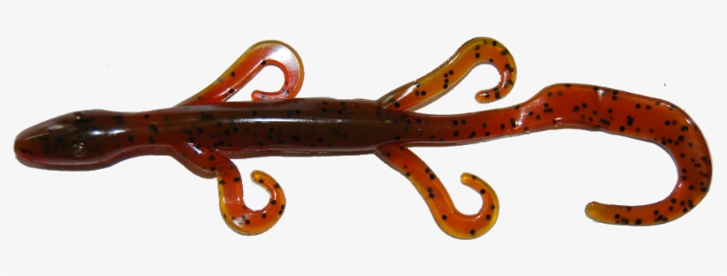 Dc 6" Lizard - Floating Lizard PNG Image | Transparent PNG Free ...