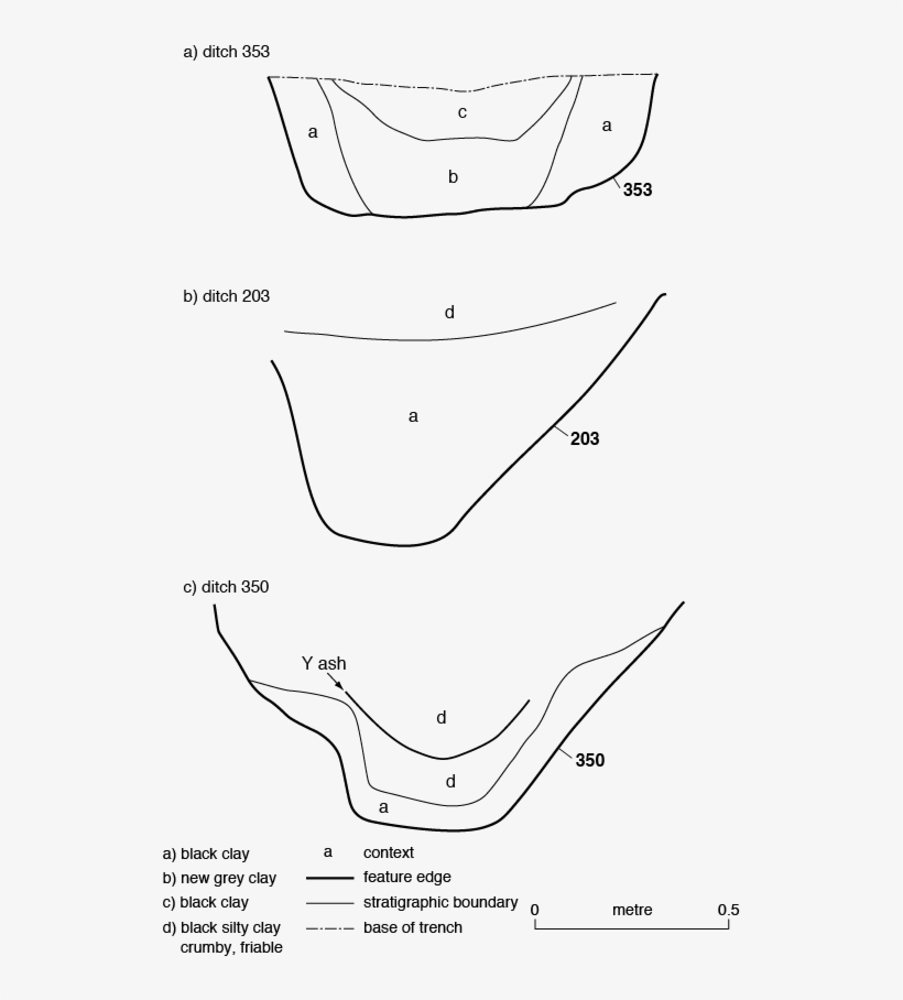 The Swamp - Line Art PNG Image | Transparent PNG Free Download on SeekPNG