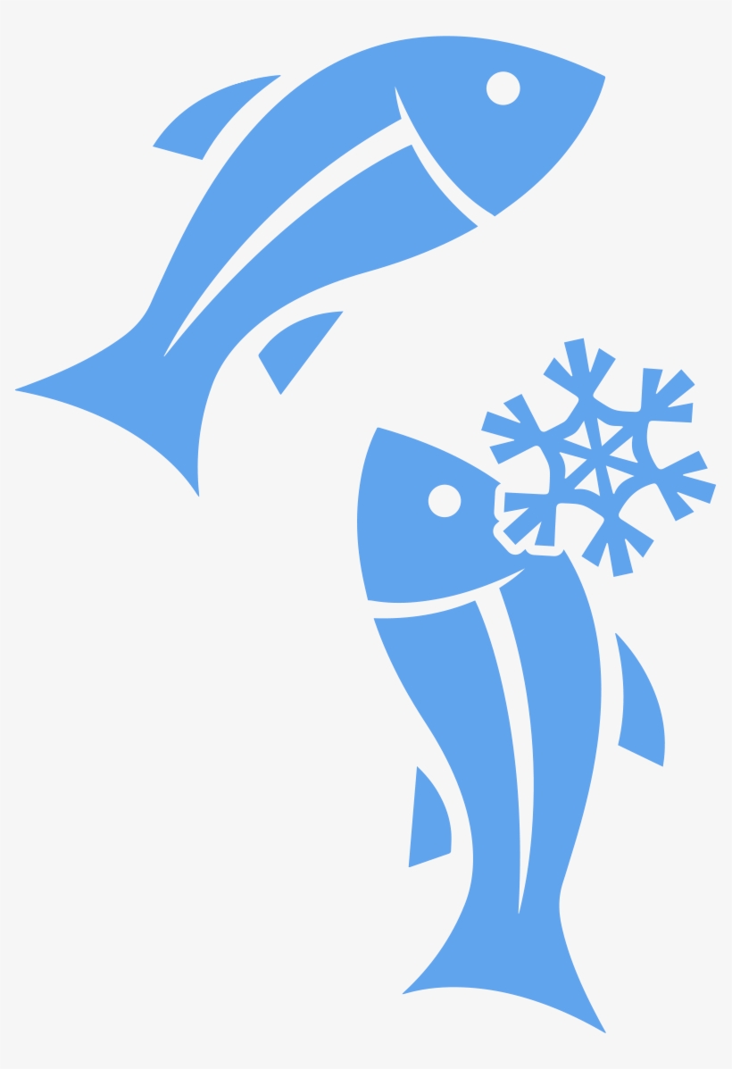 It's Determined By The Size Of The Cells Of A Fish - Snowflakes PNG ...