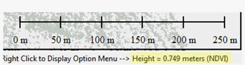 Height - Calligraphy PNG Image | Transparent PNG Free Download on SeekPNG