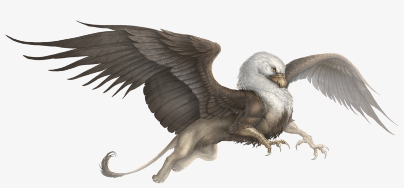 Griffin PNG Image | Transparent PNG Free Download on SeekPNG