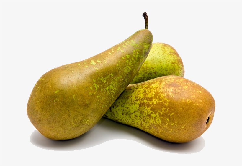 Pera Conferencia - Birnen Conference PNG Image | Transparent PNG Free ...