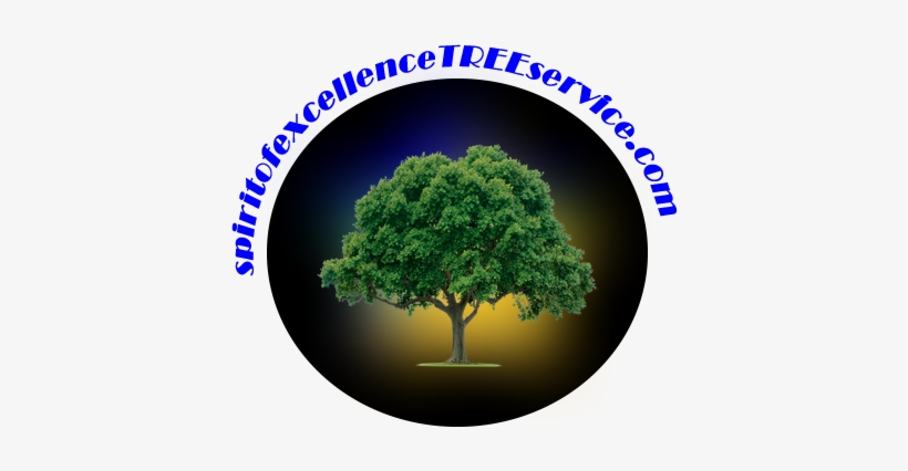 Full Tree Service Company Including Maintenance And - Tunnel Tent For 4 ...