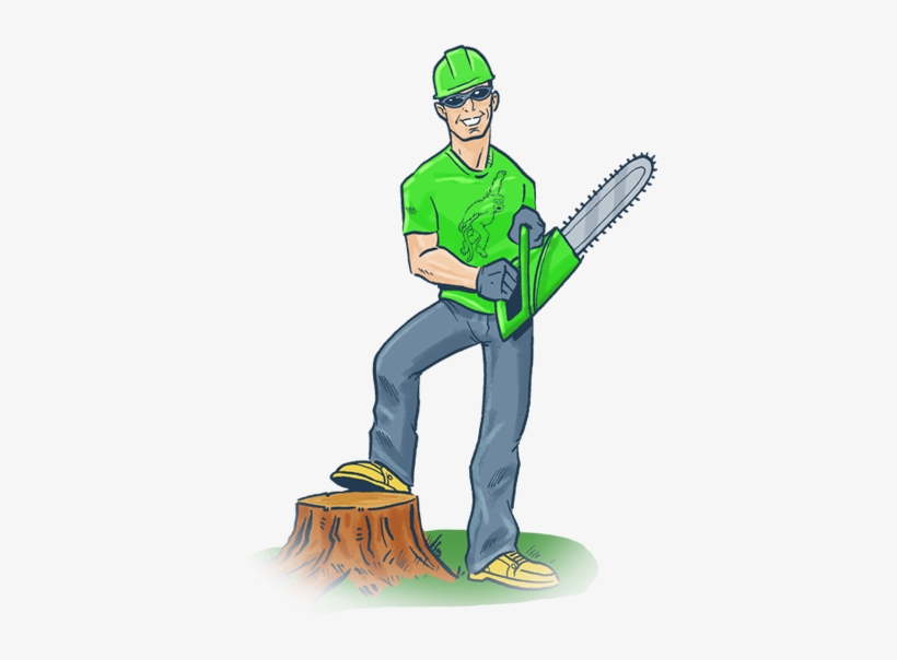 Tree Removal Services In Orlando Florida - Tree Removal PNG Image ...