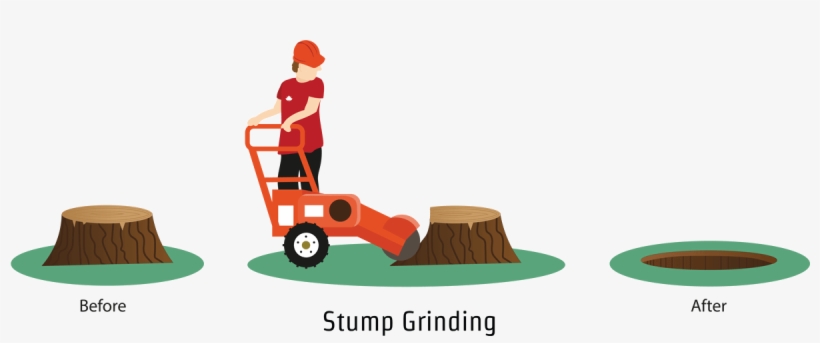 An Illustration Demonstrating Stump Grinding In Southampton, - Stump ...