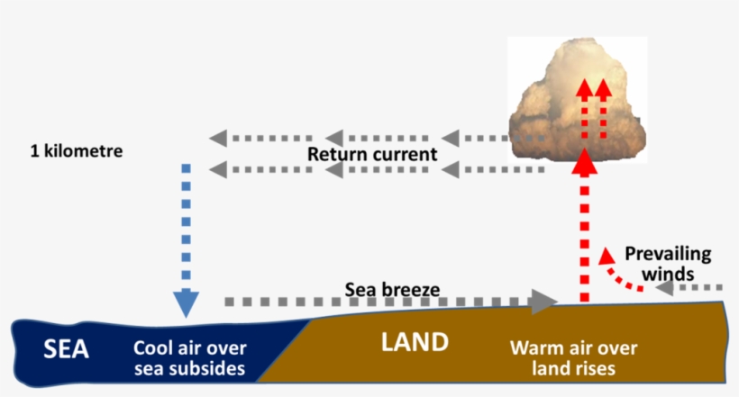 Sea Breeze PNG Image | Transparent PNG Free Download on SeekPNG