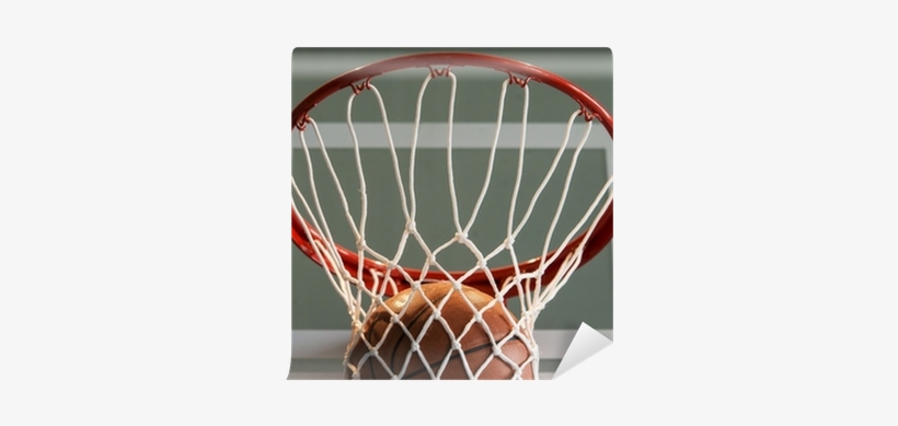 Basketball PNG Image | Transparent PNG Free Download on SeekPNG