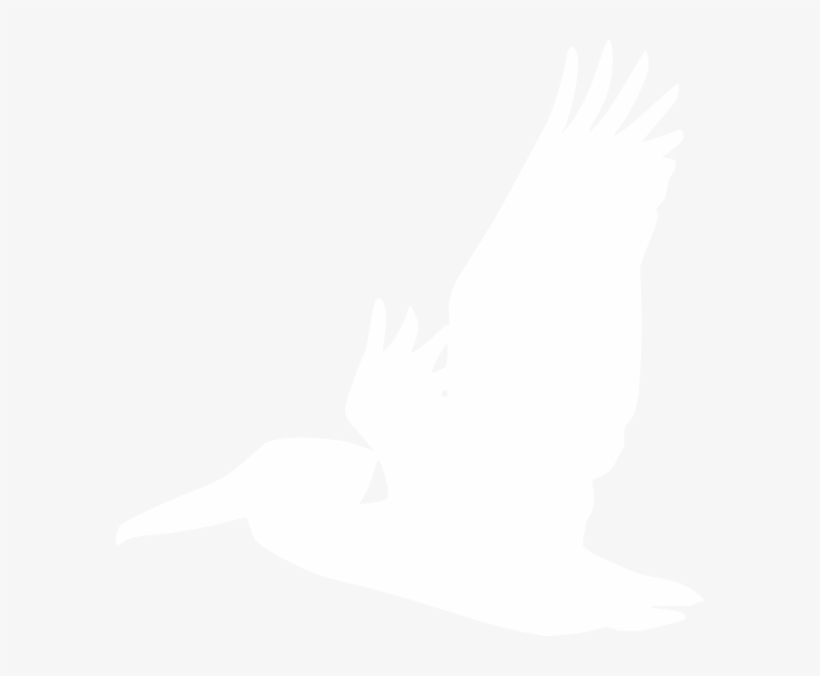 Pelican PNG Image | Transparent PNG Free Download on SeekPNG