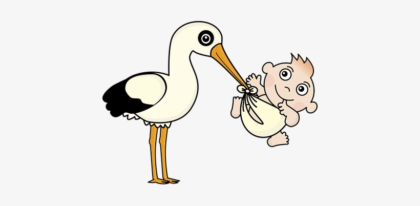 Constructor Vs Initialization C++ PNG Image | Transparent PNG Free ...