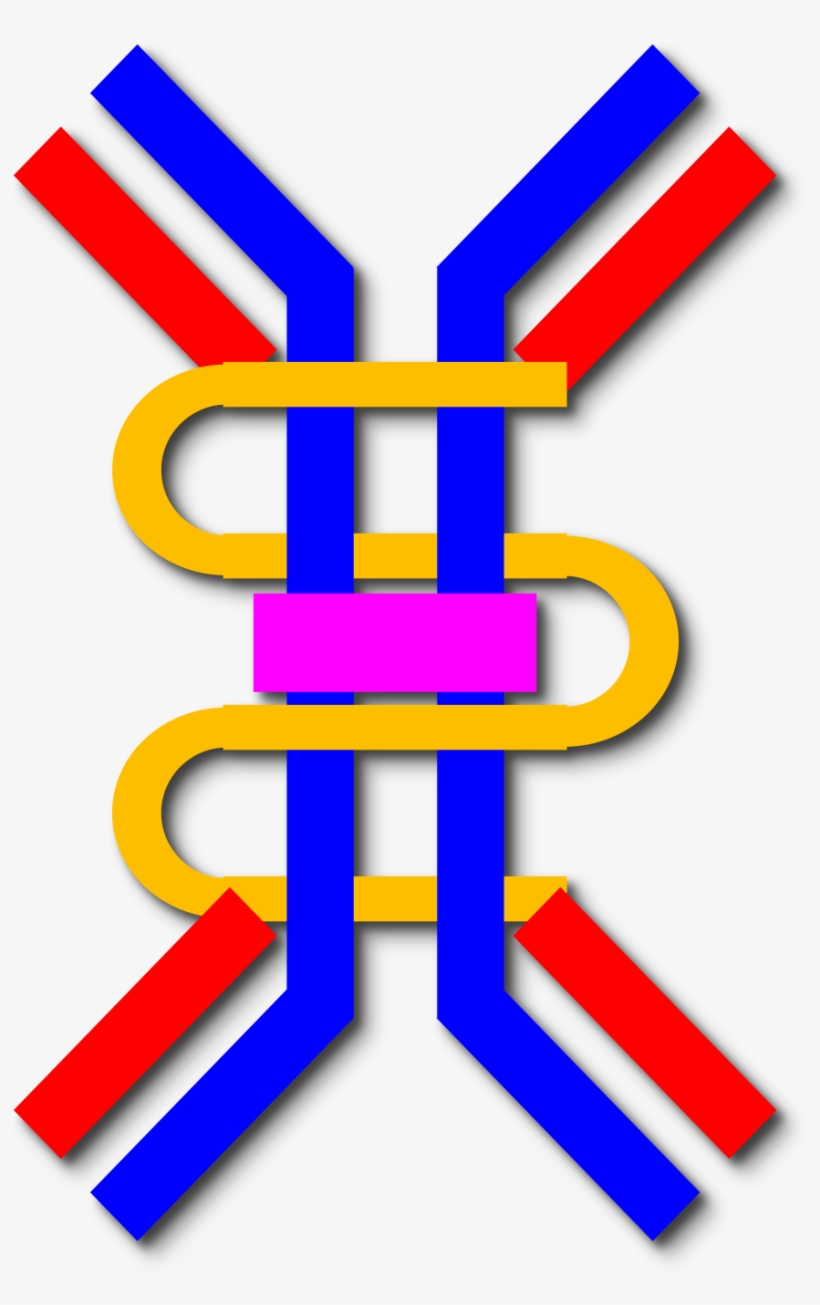 Iga Png PNG Image | Transparent PNG Free Download on SeekPNG