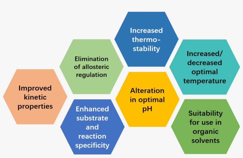 Enzyme Engineering And Modification- - Enzyme Engineering In Rational ...
