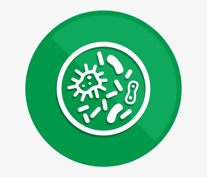 Polyurethane PNG Image | Transparent PNG Free Download on SeekPNG